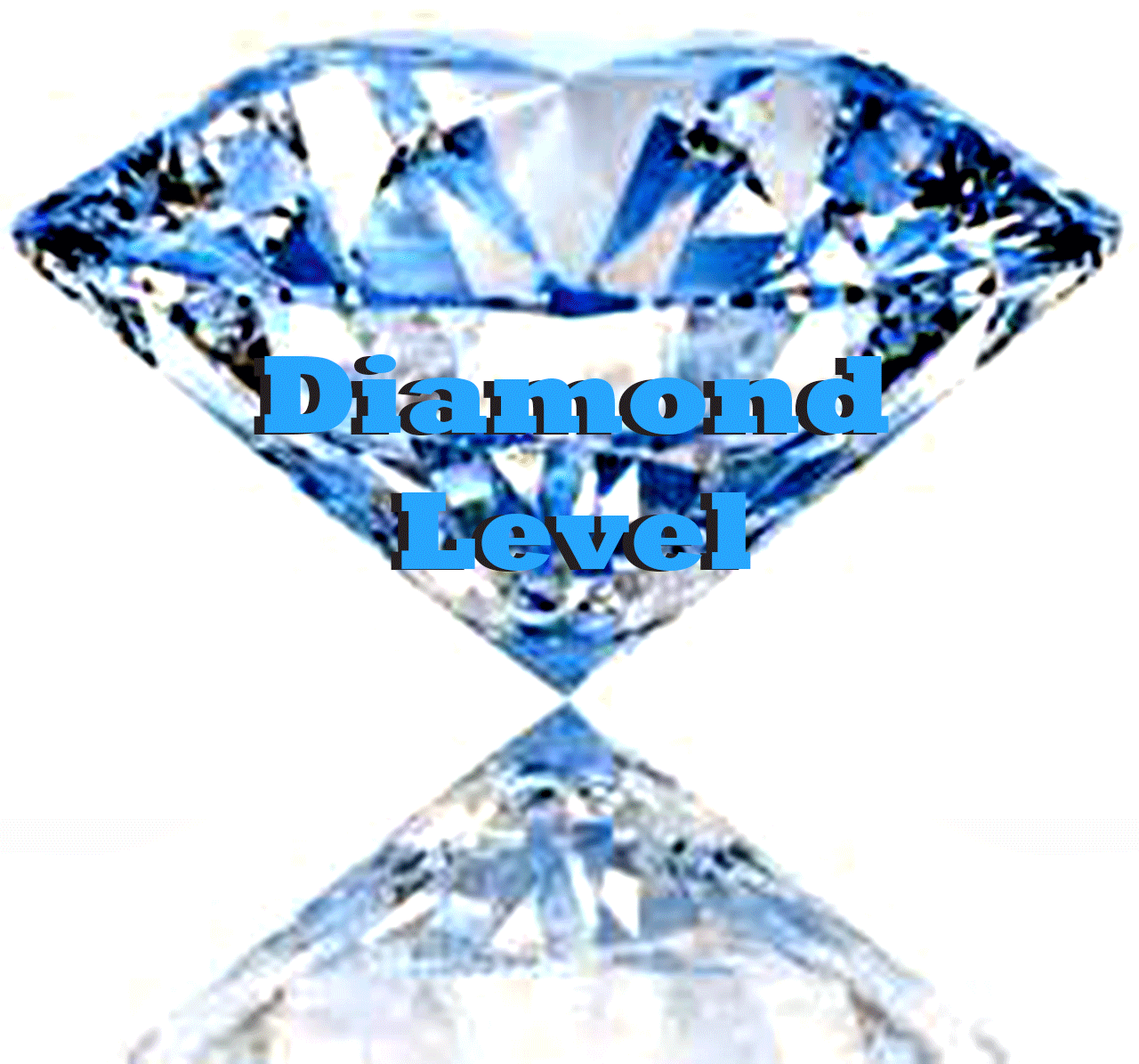 Diamond Level – Asperger Works Inc.
